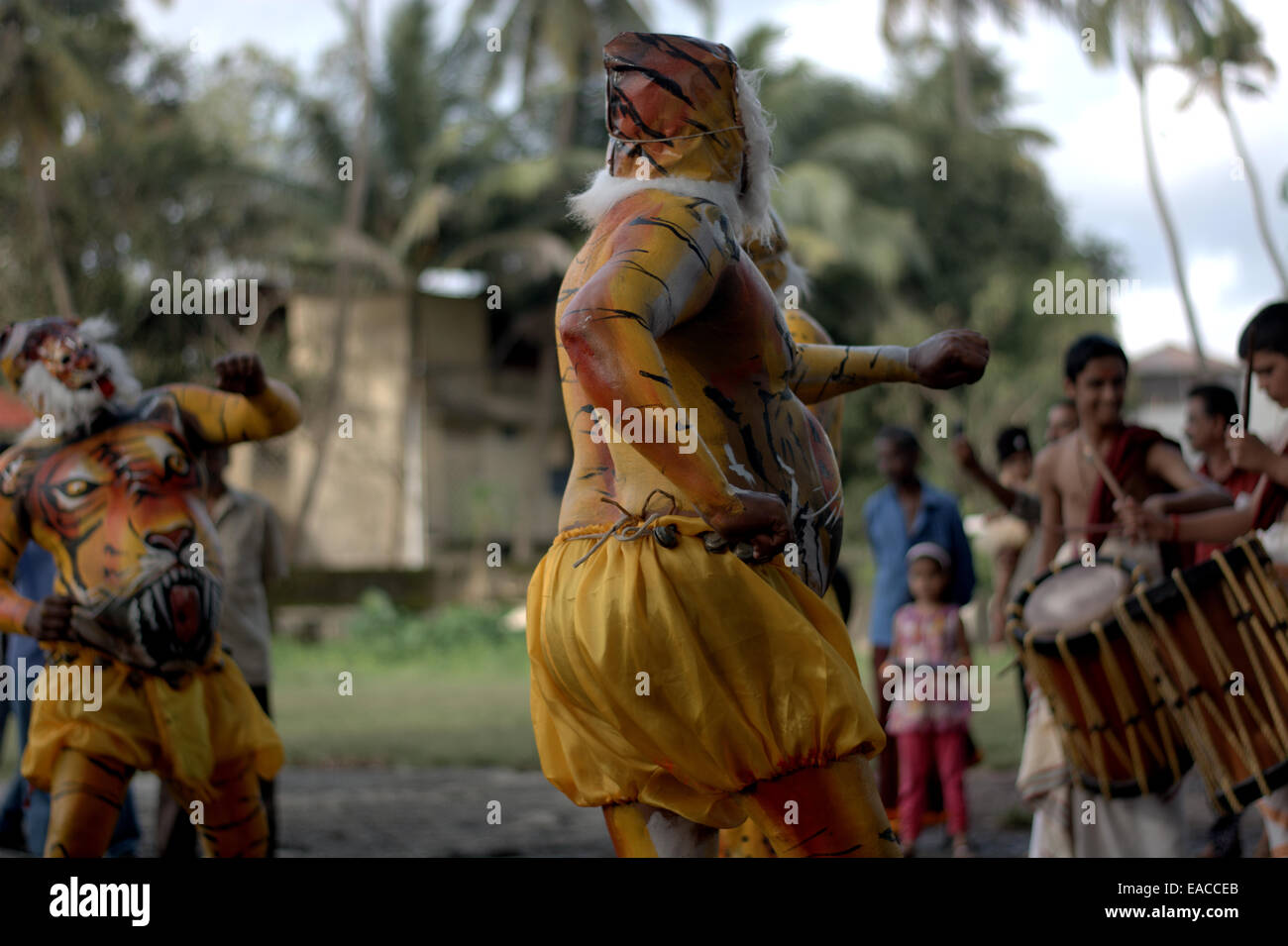 Puli Kali (Pulikkali), or tiger play, a folk dance art form of Kerala ...