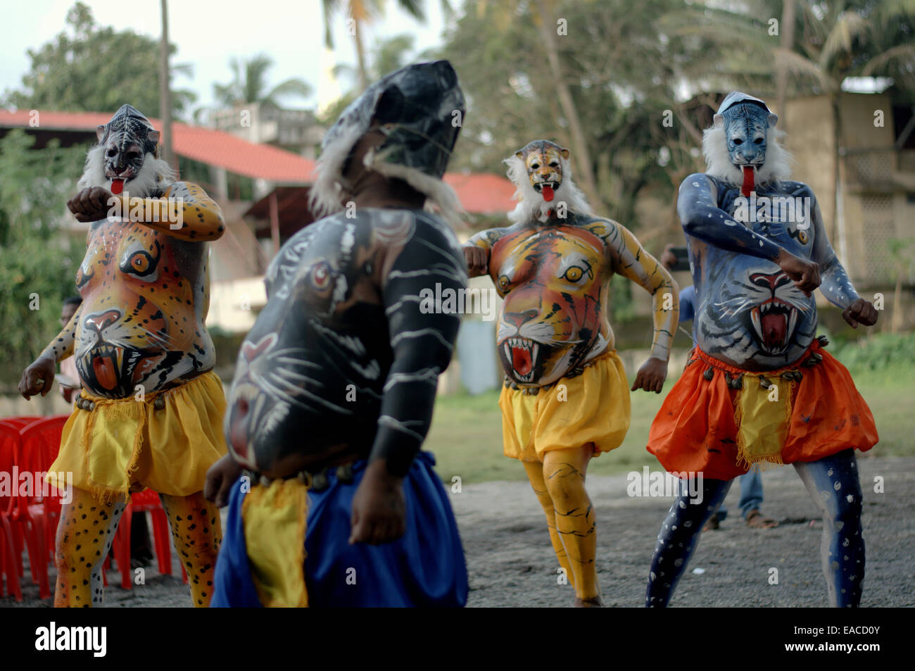 Puli Kali (Pulikkali), or tiger play, a folk dance art form of Kerala ...