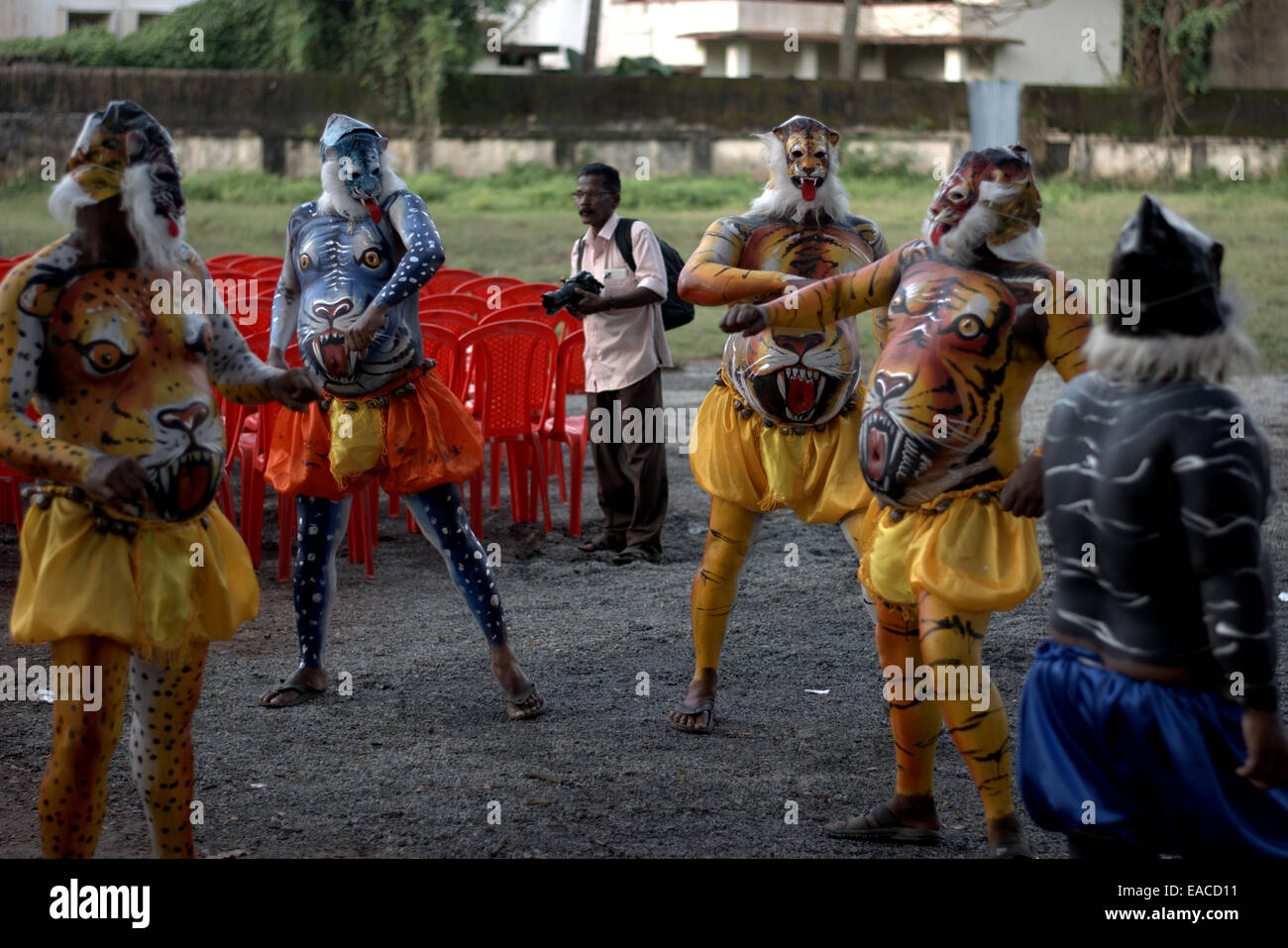 Puli Kali (Pulikkali), or tiger play, a folk dance art form of Kerala ...