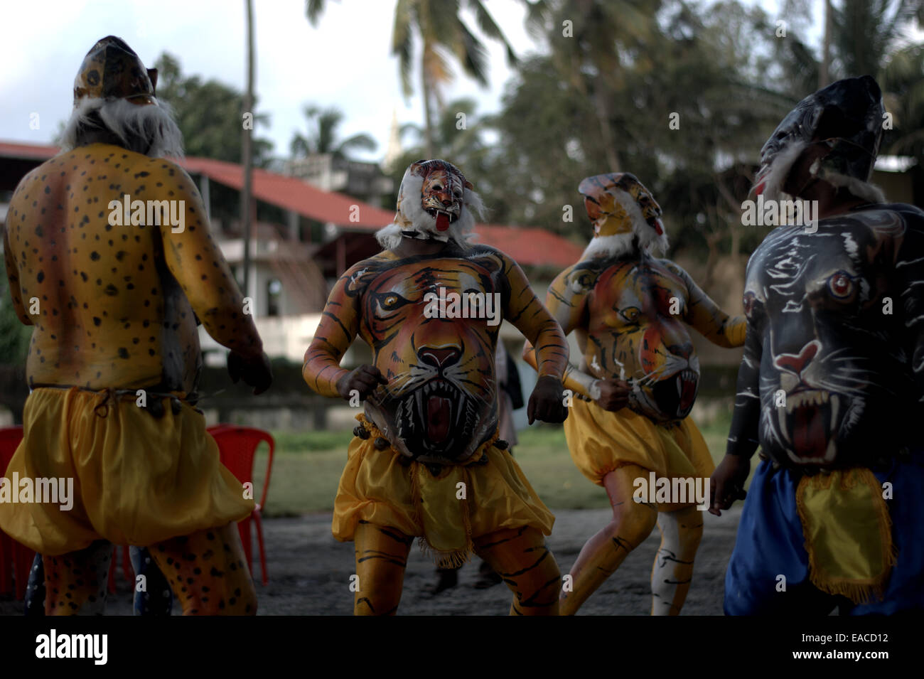 Puli Kali (Pulikkali), or tiger play, a folk dance art form of Kerala ...