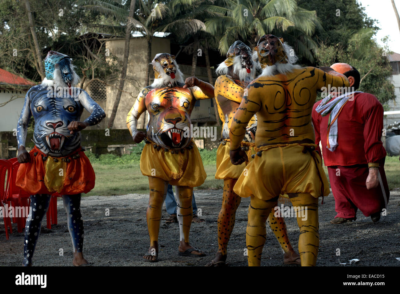 Puli Kali (Pulikkali), or tiger play, a folk dance art form of Kerala ...