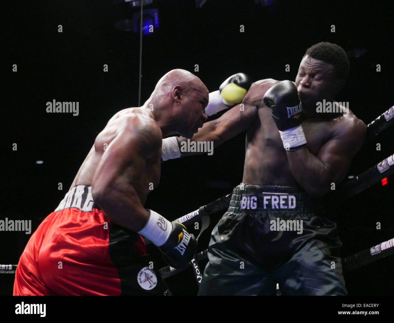 Bethlehem, Pennsylvania, USA. 8th Nov, 2014. AMIR MANSOUR (red trunks) and FRED KASSI battle in ...