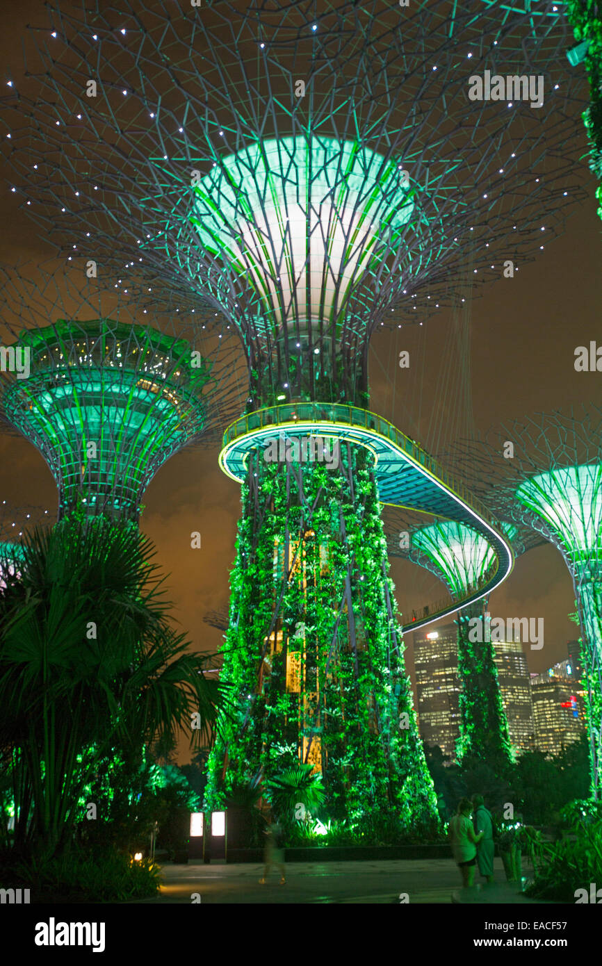 Immense supertrees & high skyway illuminated against dark night sky in ...