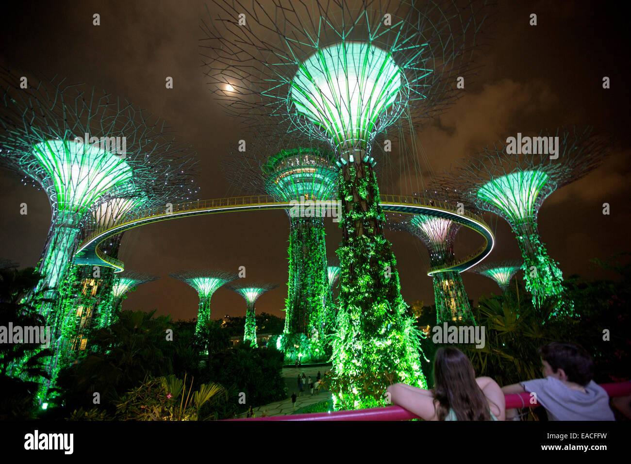 Children watching immense supertrees illuminated against dark night sky ...