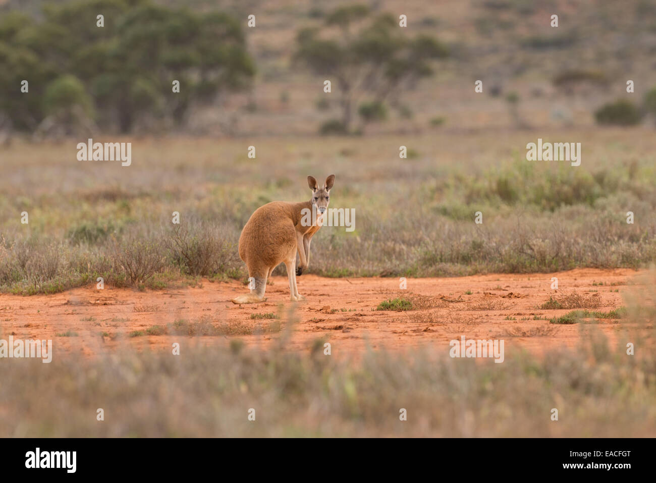 Stand standing hi-res stock photography and images - Alamy