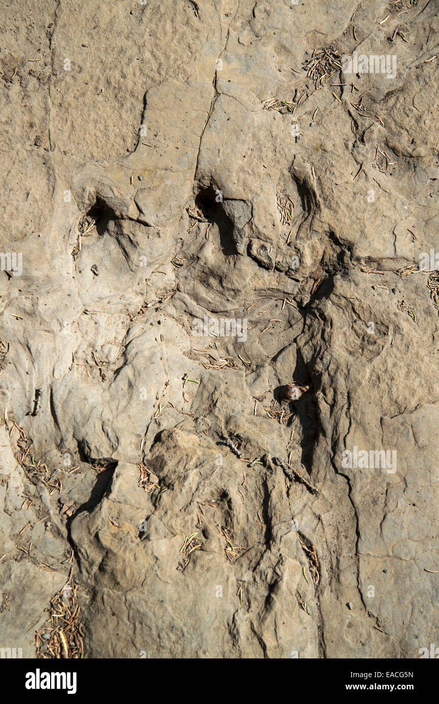 Dinosaur ridge hi-res stock photography and images - Alamy
