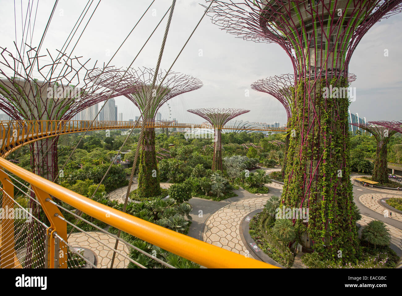 View of immense 'supertrees', vertical gardens, & parklands of ...