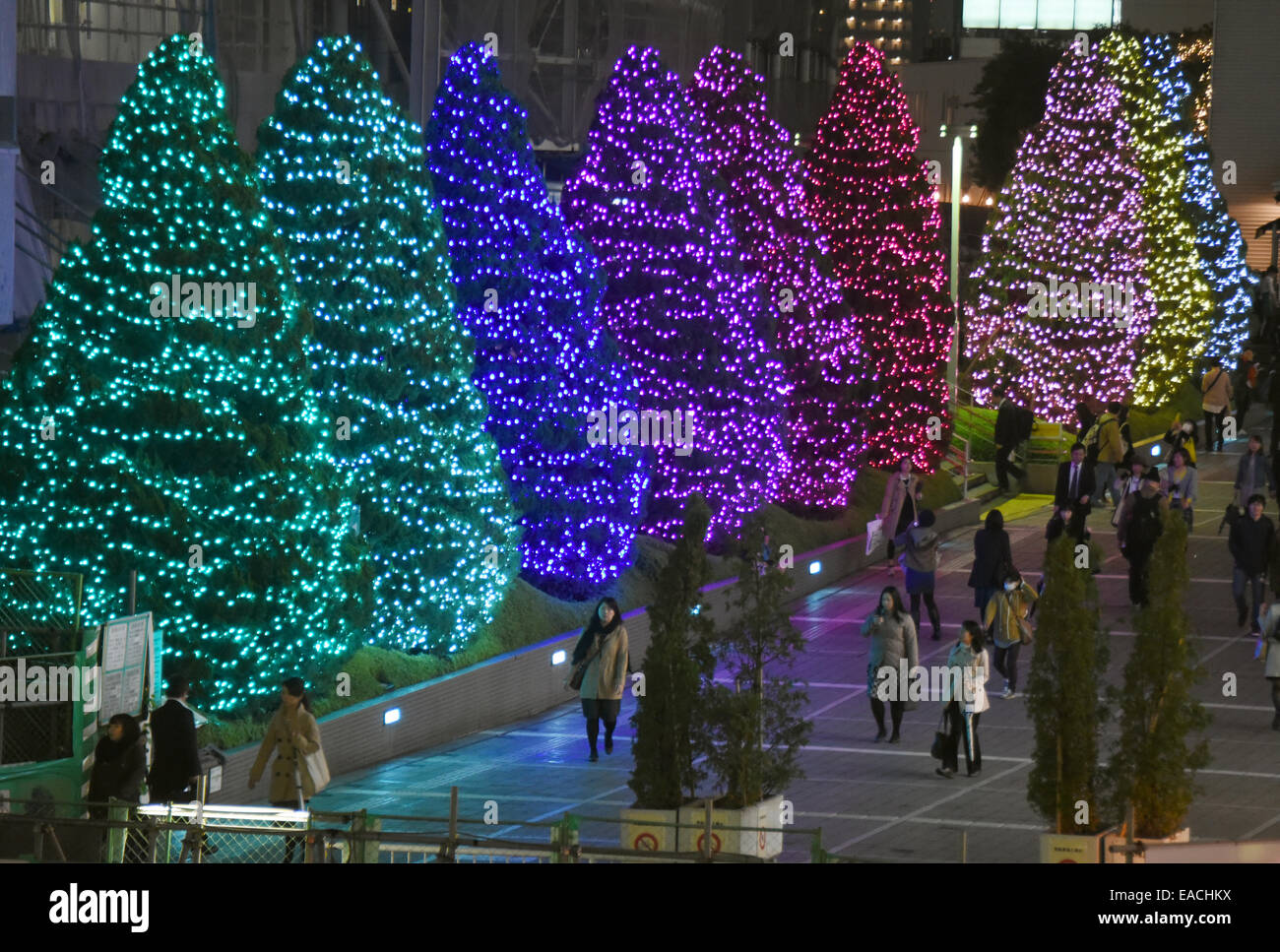Tokyo, Japan. 11th Nov, 2014. Brightly-lit illuminations of 280,000 ...