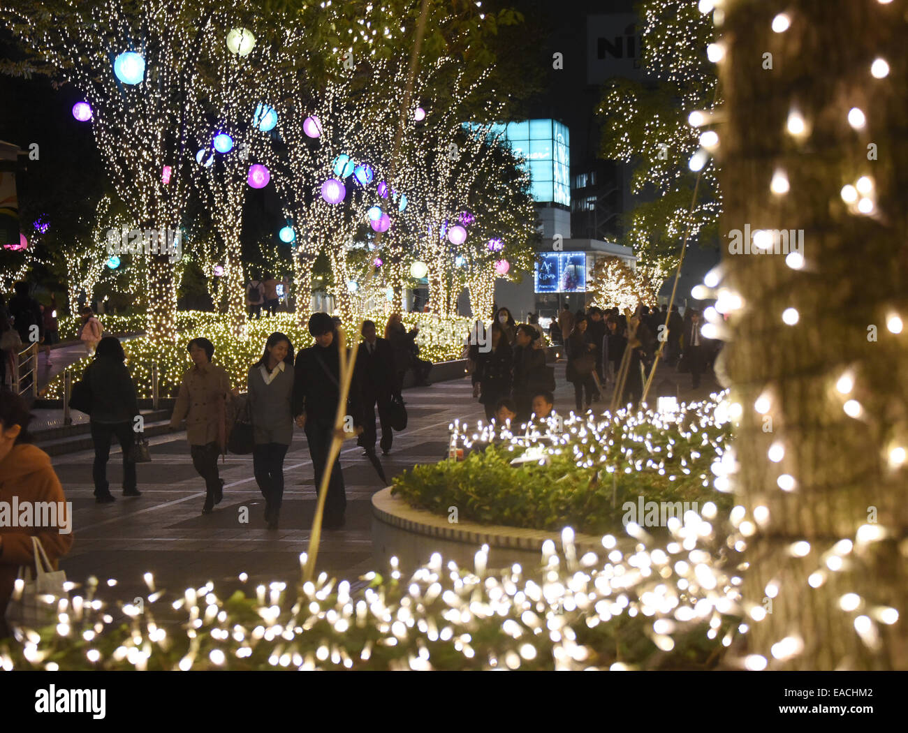 Tokyo, Japan. 11th Nov, 2014. Brightly-lit illuminations of 280,000 ...