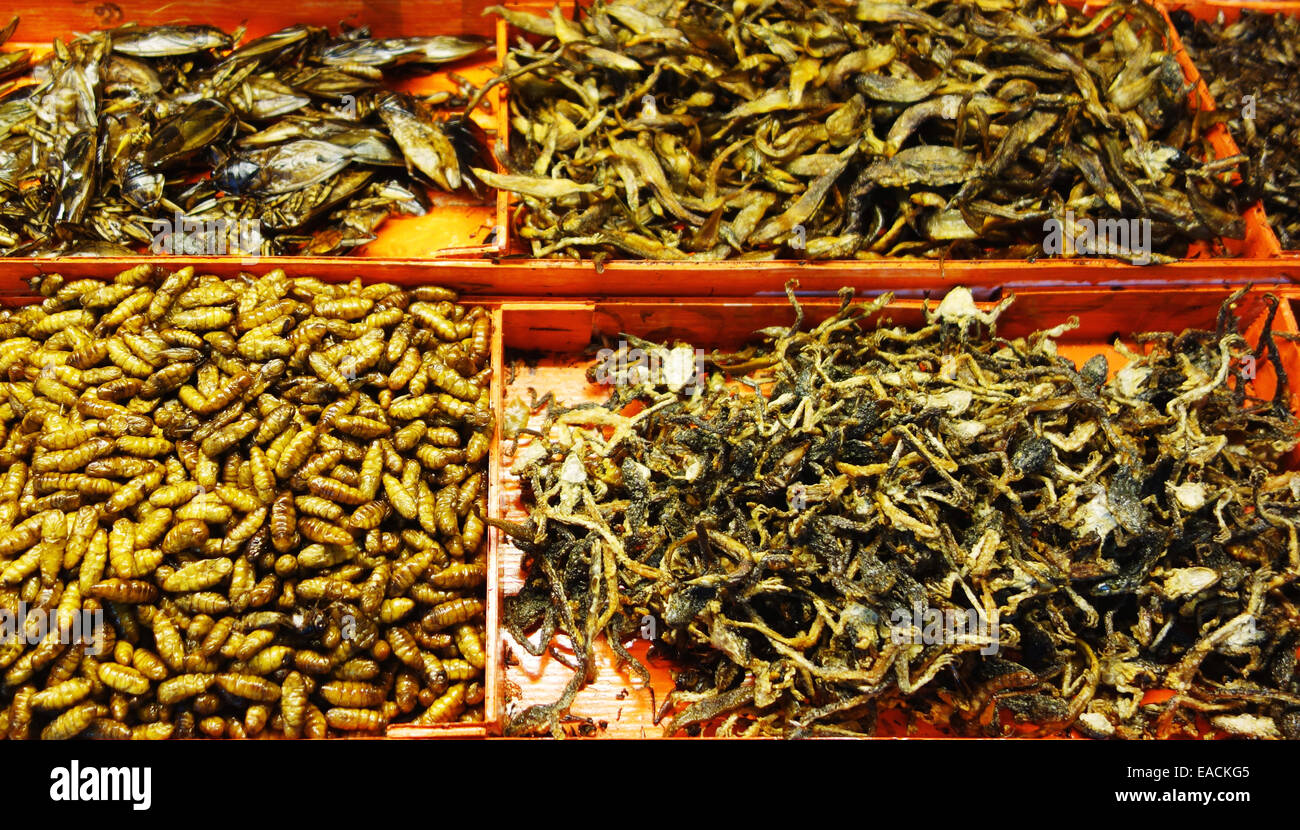 Fried insects hi-res stock photography and images - Alamy
