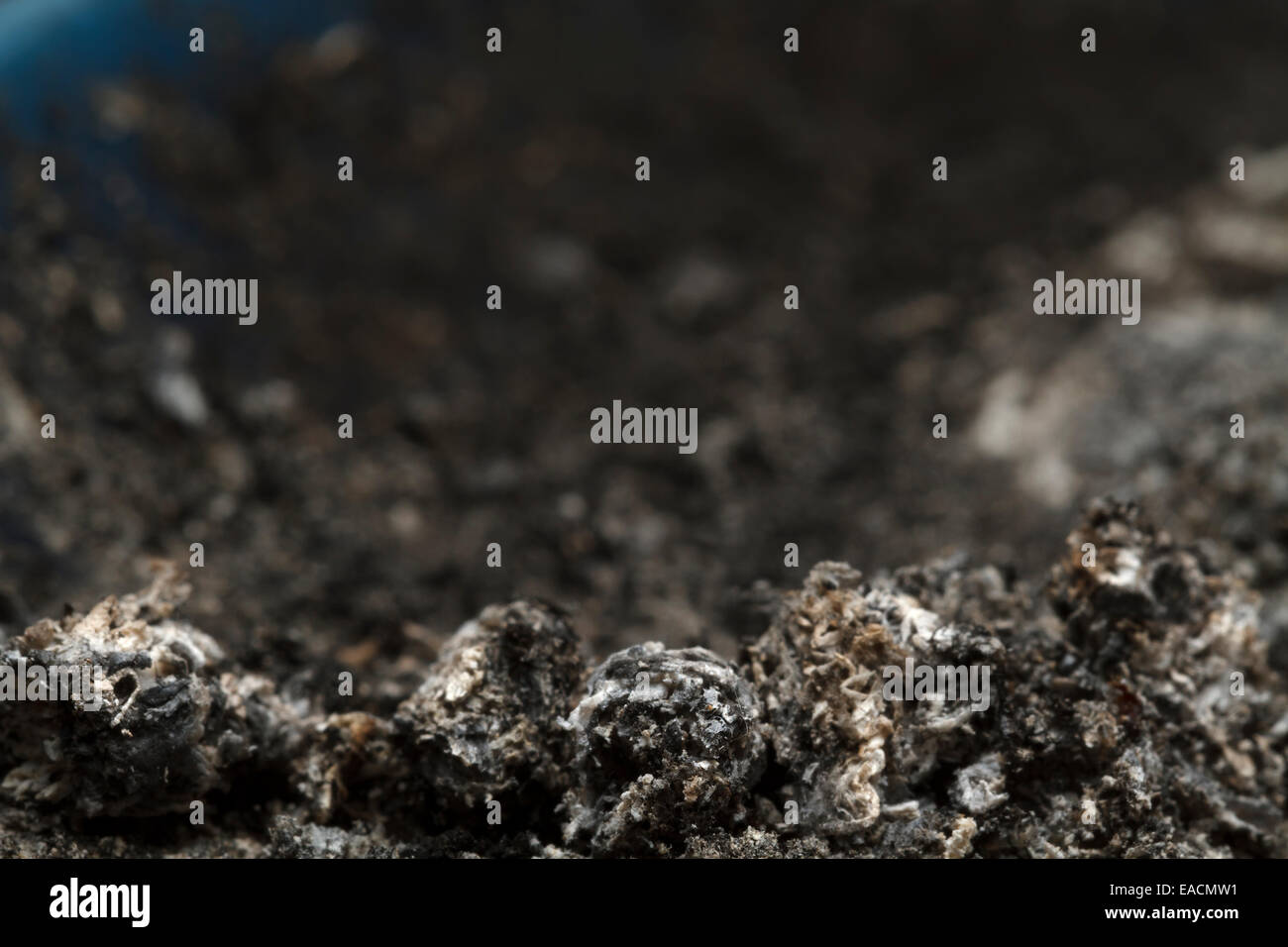 ashes, extreme close-up, macro shot Stock Photo - Alamy