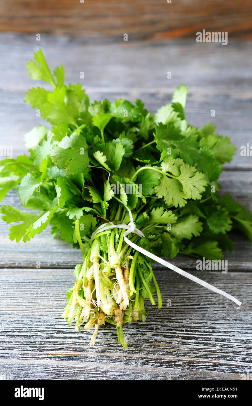 Bunch of fresh cilantro on wooden boards, vegetable Stock Photo - Alamy