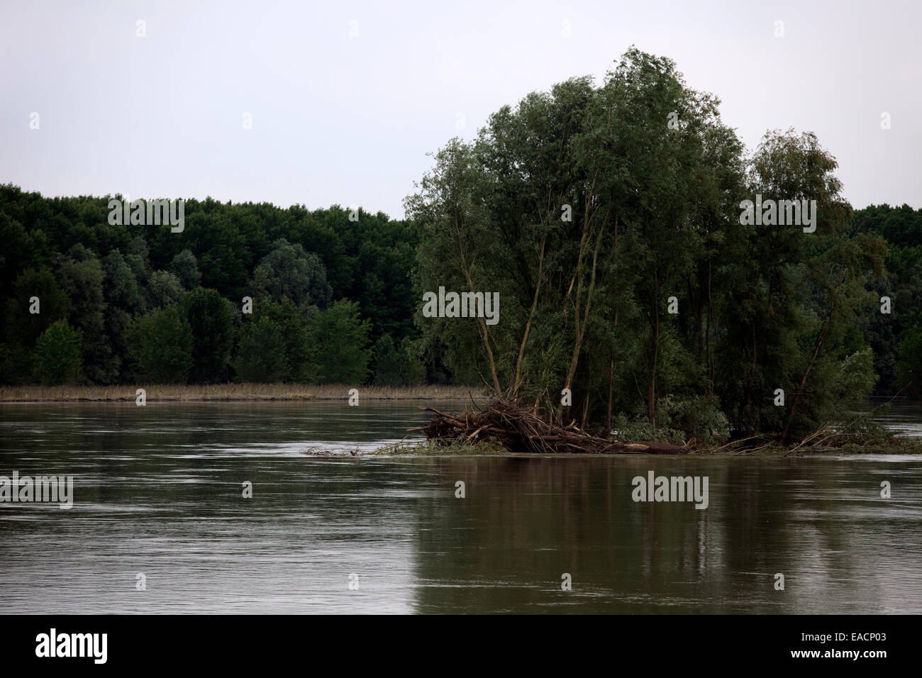 Po river, Lombardy, Italy Stock Photo - Alamy