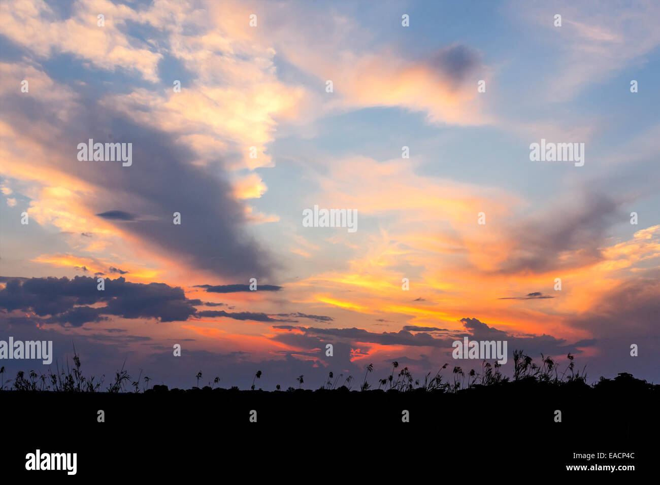 African sunset with dramatic clouds on sky, Kavango Namibia Stock Photo ...
