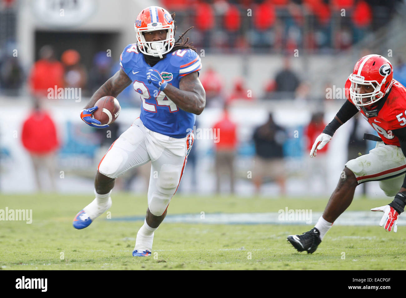 Florida gators football 1 hi-res stock photography and images - Alamy
