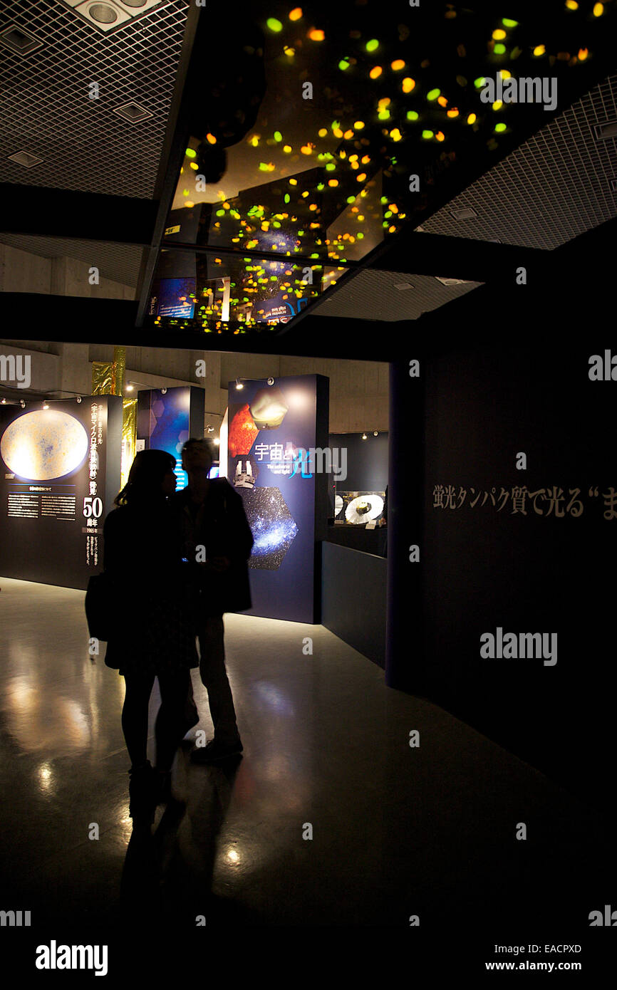 Visitors view the fluorescent lights at the "Hikari The Wonder of Light ...