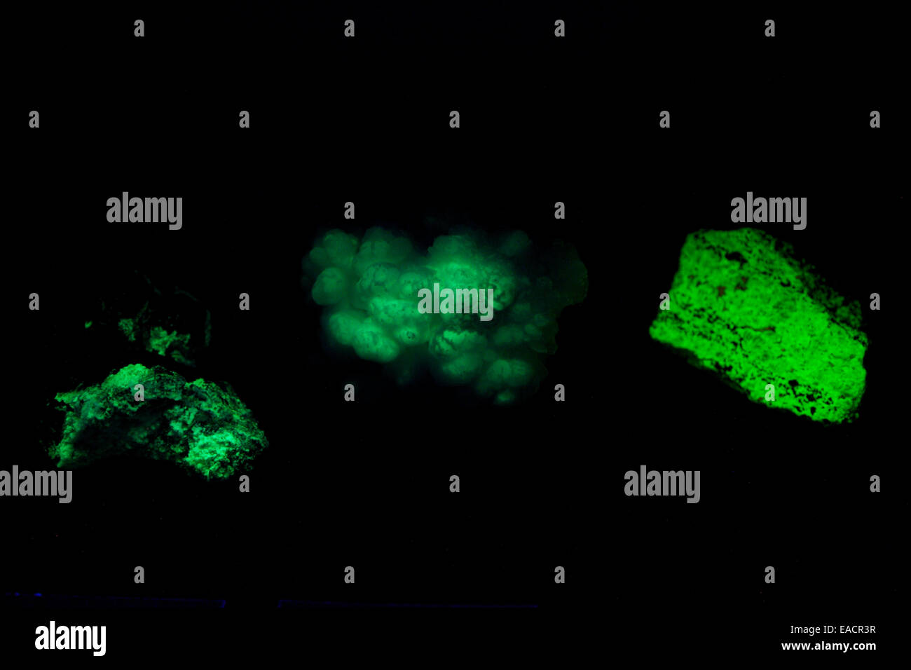Natural fluorescent stones on display at the "Hikari The Wonder of ...