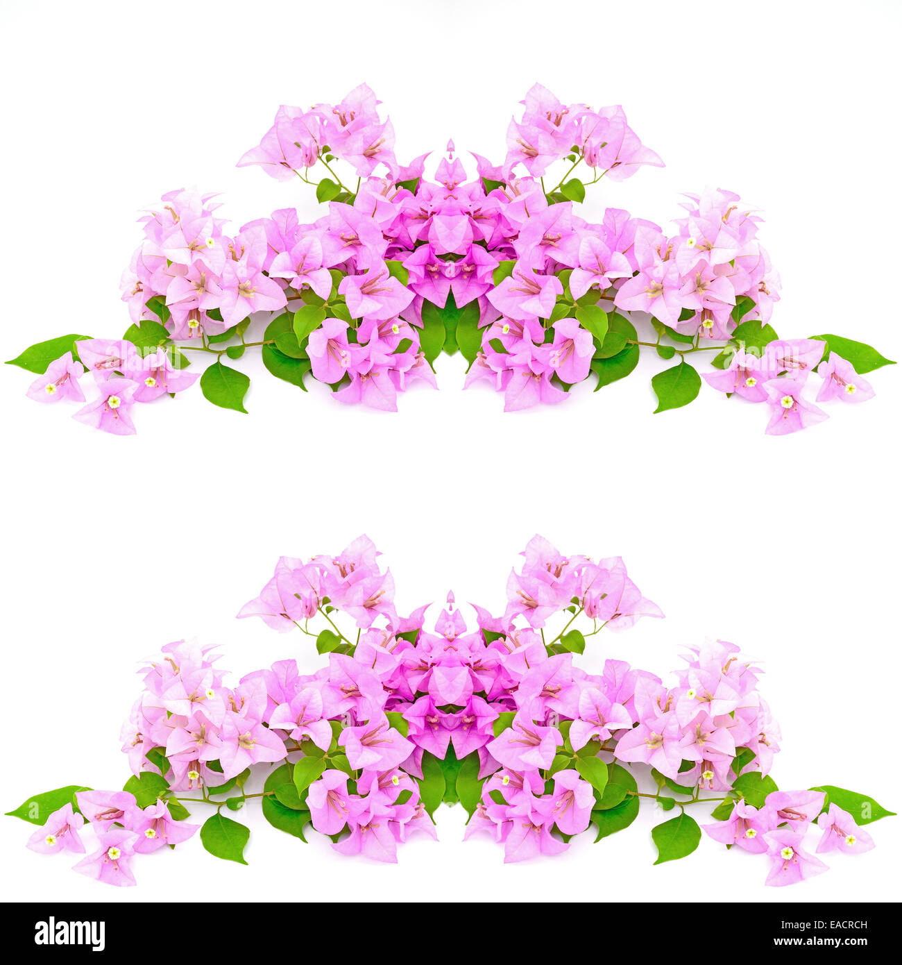 Paper tropical leaves on Cut Out Stock Images & Pictures - Alamy