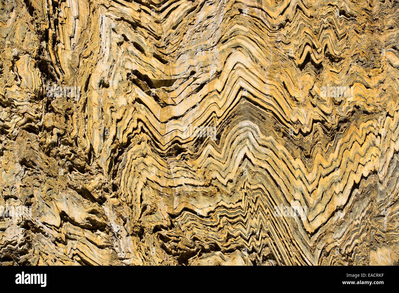 Folded metamorphic rock in Kings Canyon National Park, California, USA ...