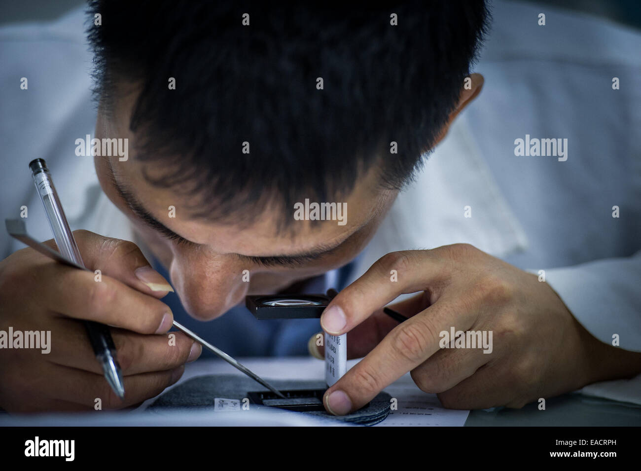 Textile worker inspecting the quality of a denim fabric sample, looking ...