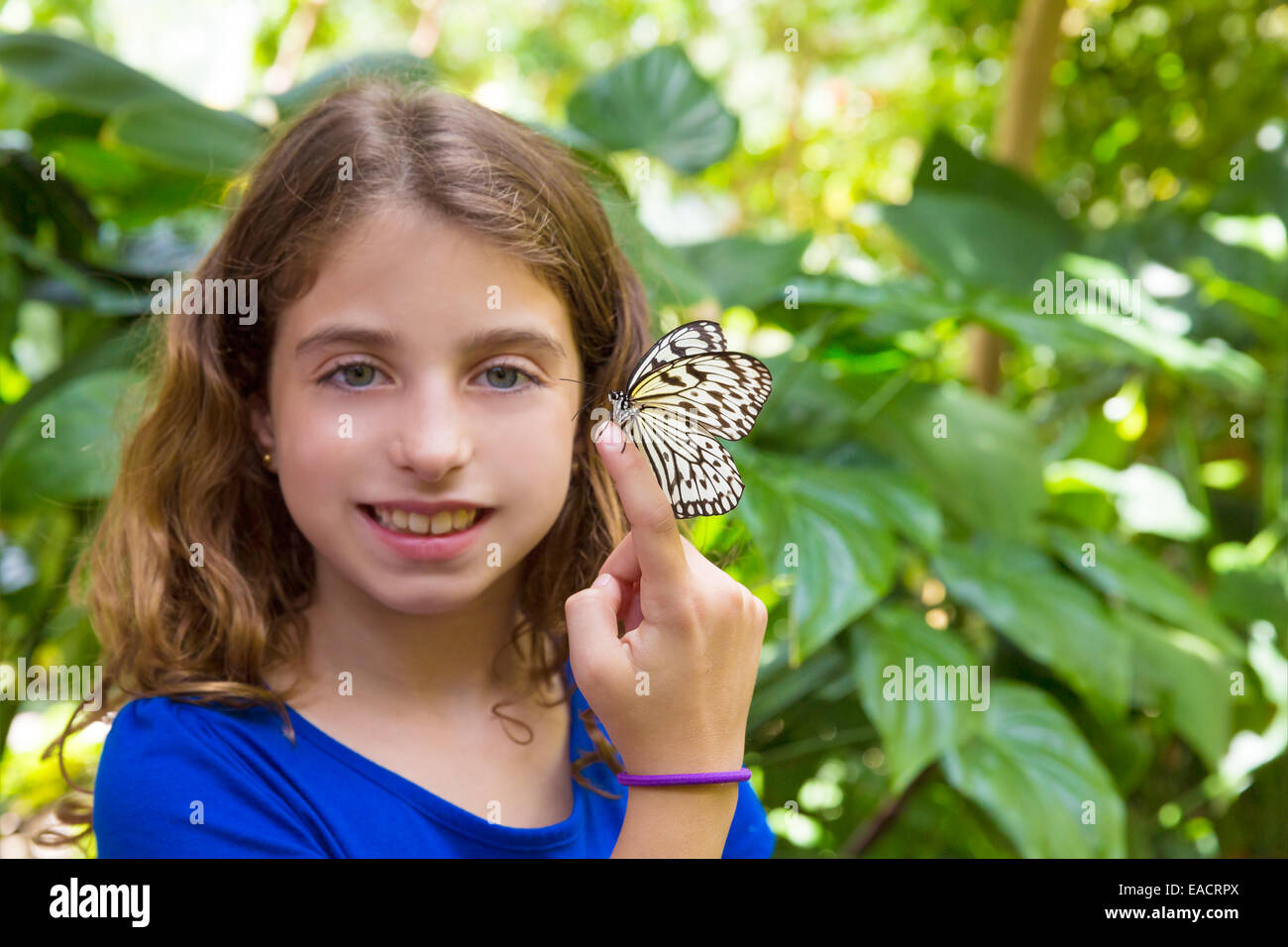 Girl holding finger Rice Paper butterfly Idea leuconoe in outdoor Stock ...