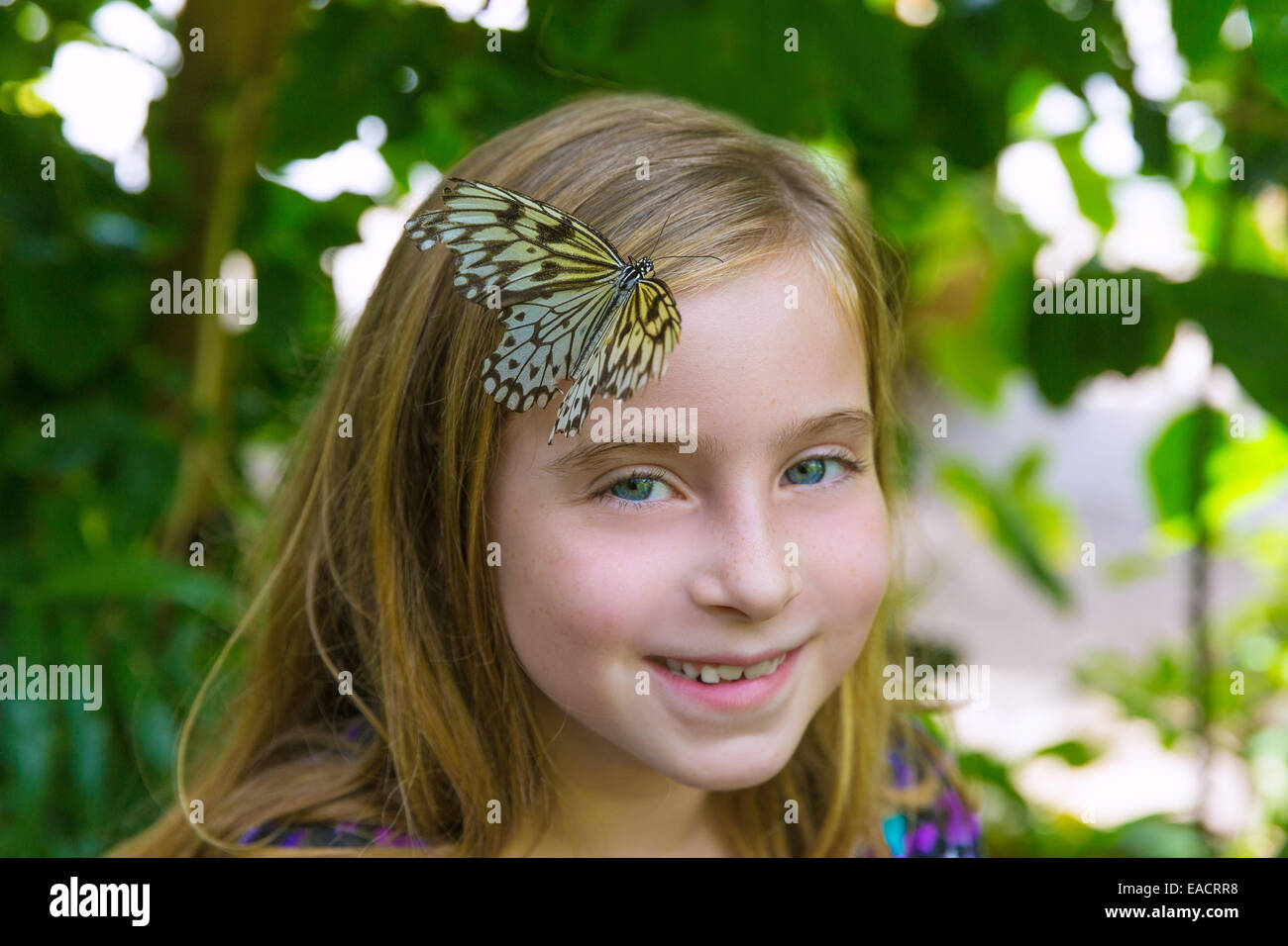 Funny butterfly hi-res stock photography and images - Alamy