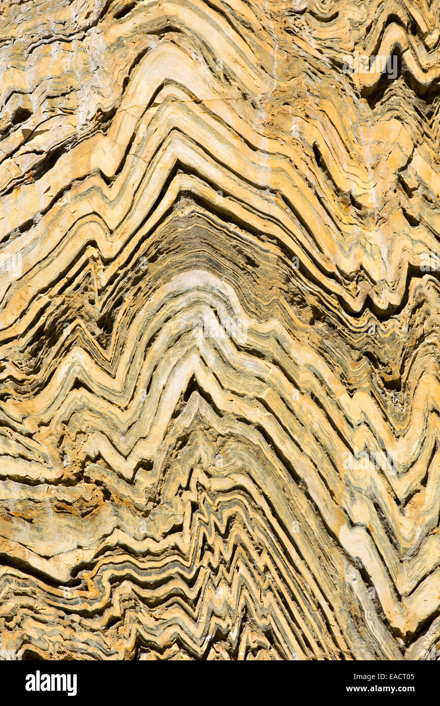 Folded metamorphic rock in Kings Canyon National Park, California, USA ...