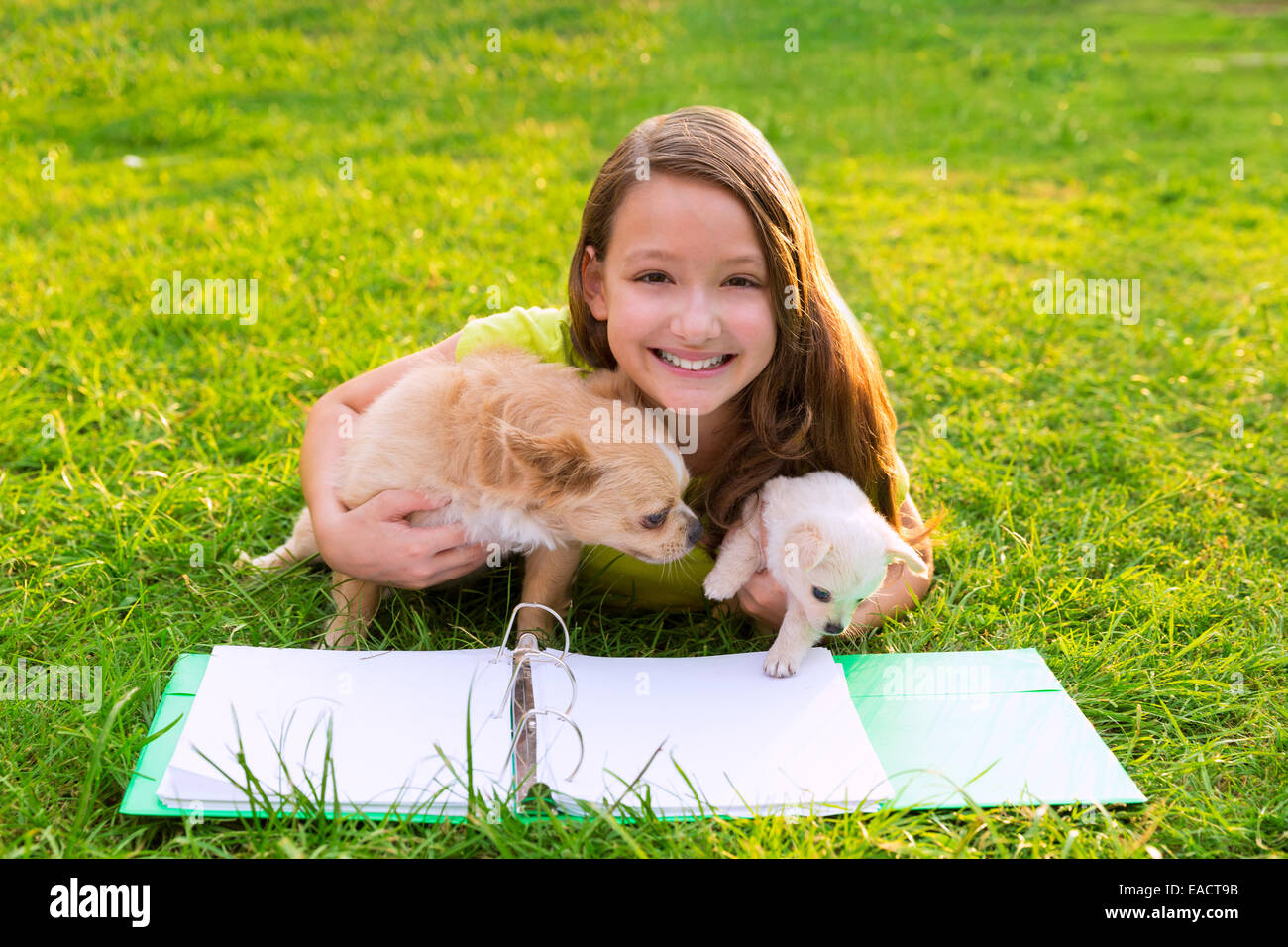 kid girl and puppy dog doing homework with chiuahua pets lying in ...