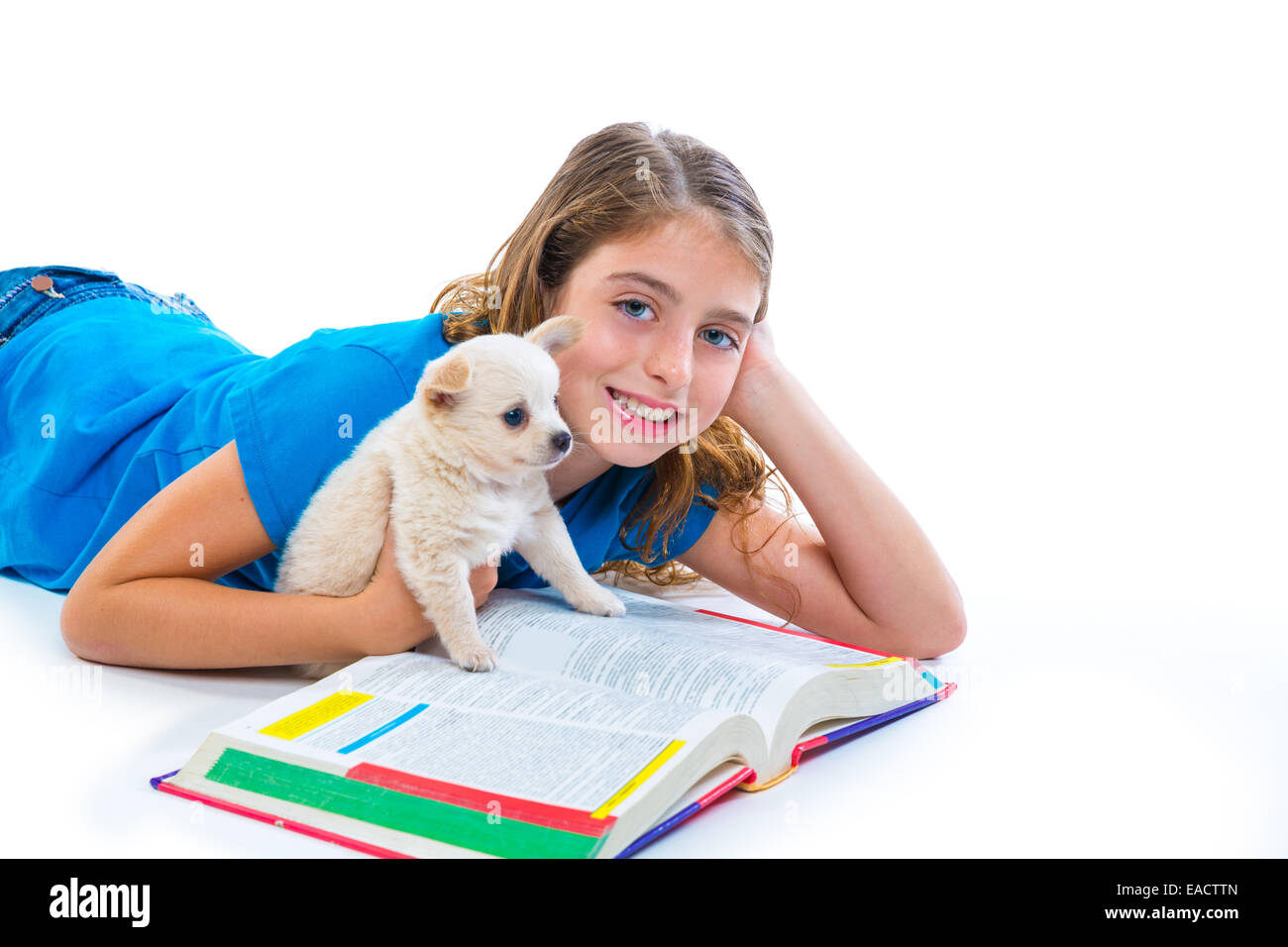 kid girl with puppy chihuahua pet dog doing homework lying on white ...