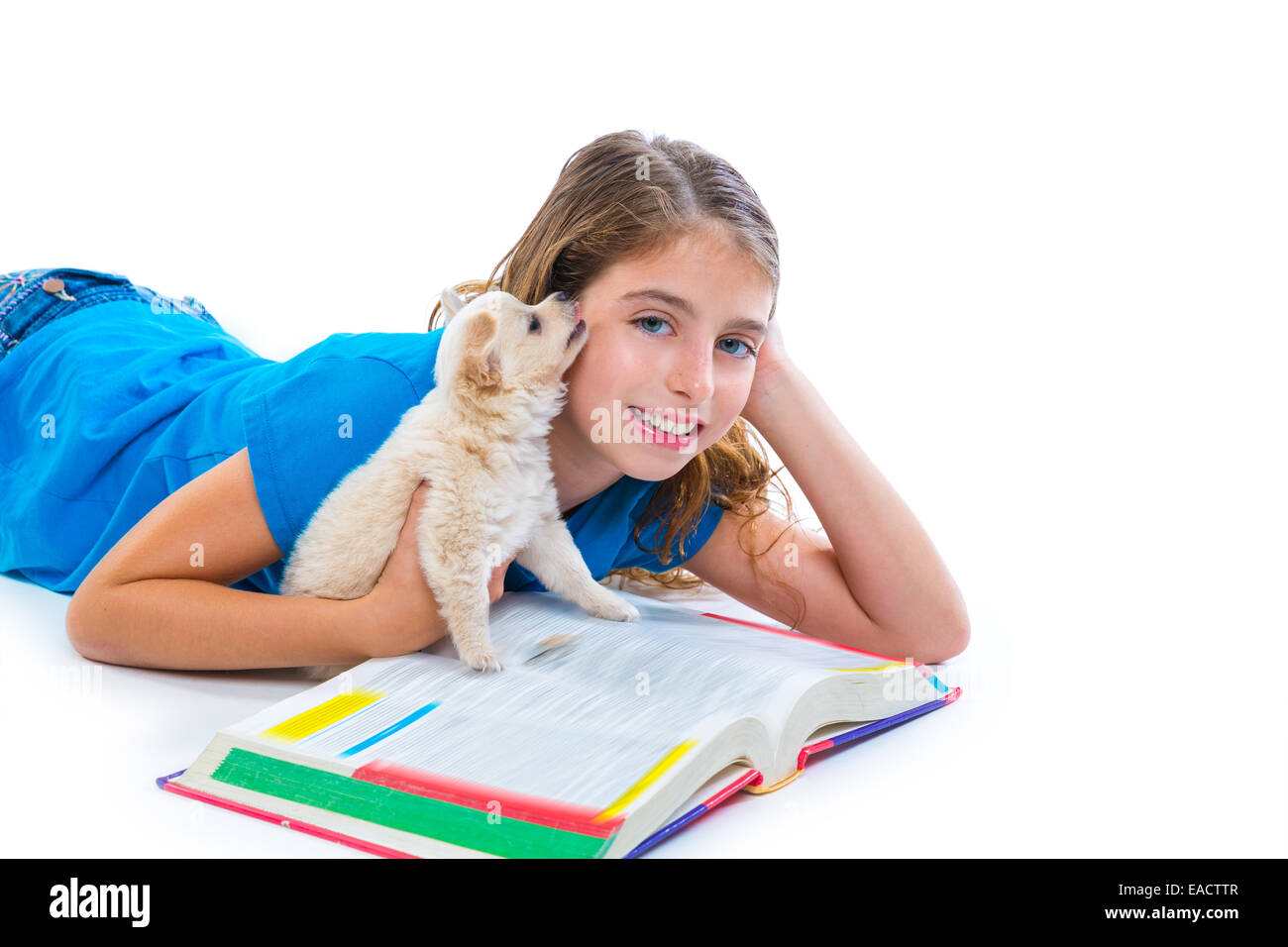 kid girl with puppy chihuahua pet dog doing homework lying on white ...