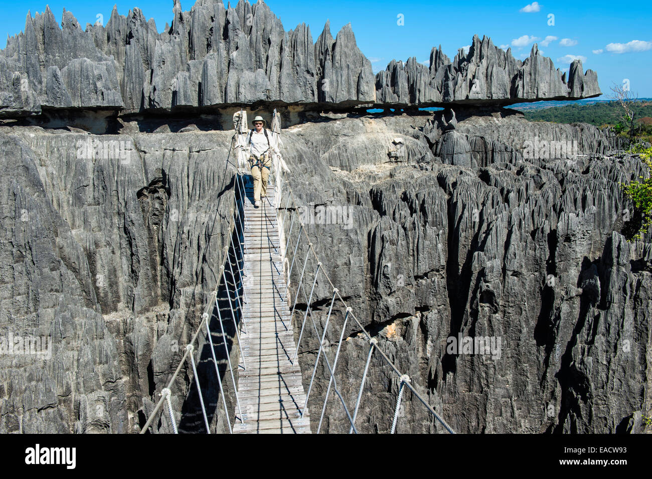 Rock climber woman crossing a hanging bridge, Tsingy de Bemaraha ...