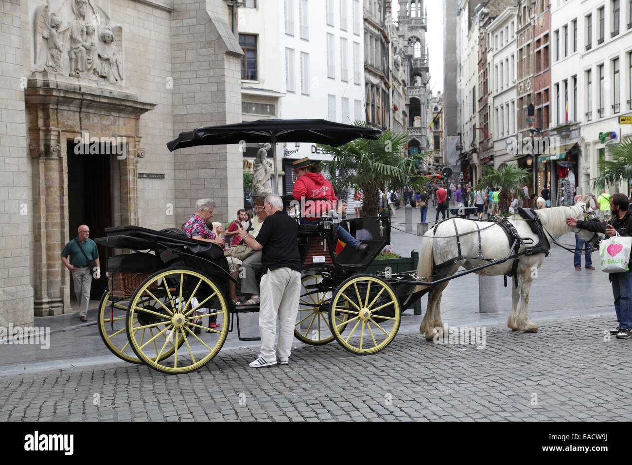 Victorian Horse Drawn Carriage Stock Photos & Victorian Horse Drawn ...