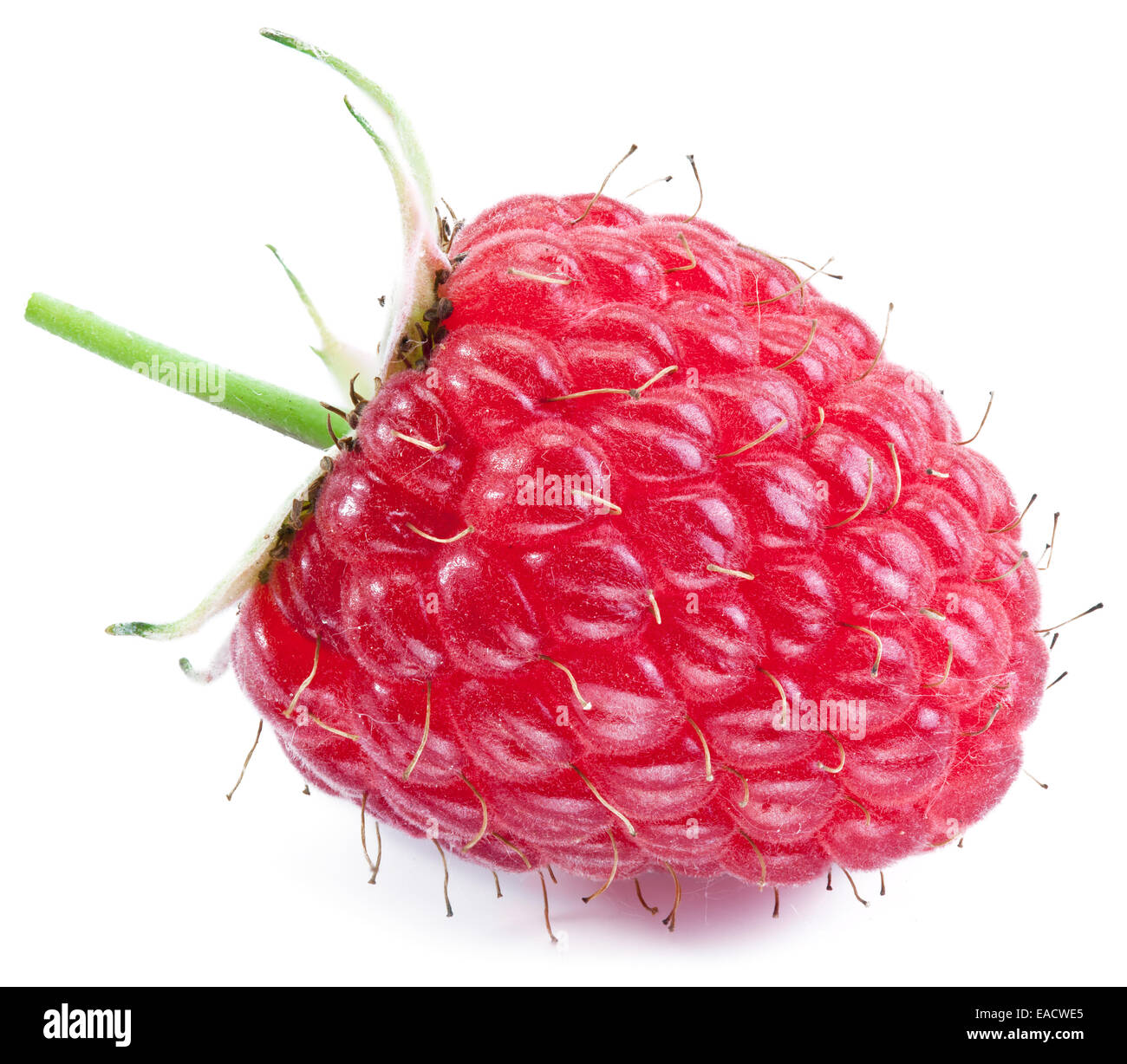 One rich raspberry fruit isolated on a white background Stock Photo - Alamy