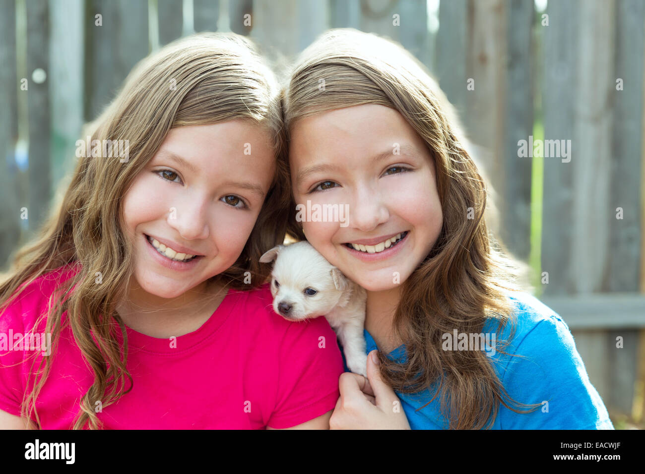 Twin sisters and puppy pet dog chihuahua playing together with doggy ...