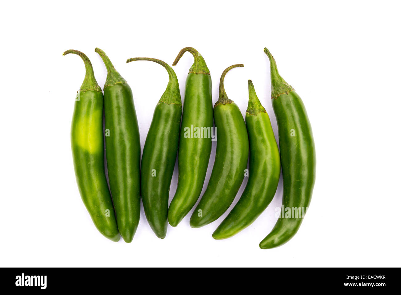 Chile Serrano hot chili pepper on white background Stock Photo - Alamy