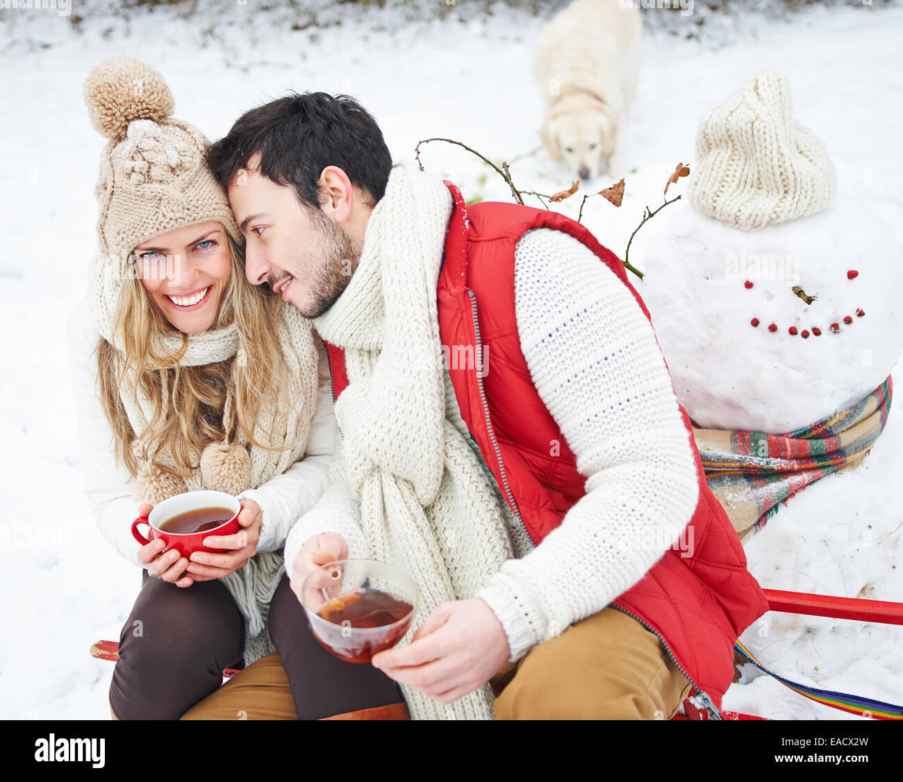 Dog drinking tea hi-res stock photography and images - Alamy