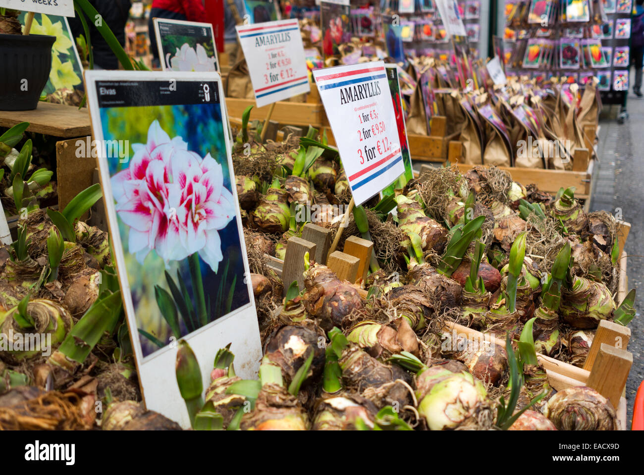 Flowwe hi-res stock photography and images - Alamy