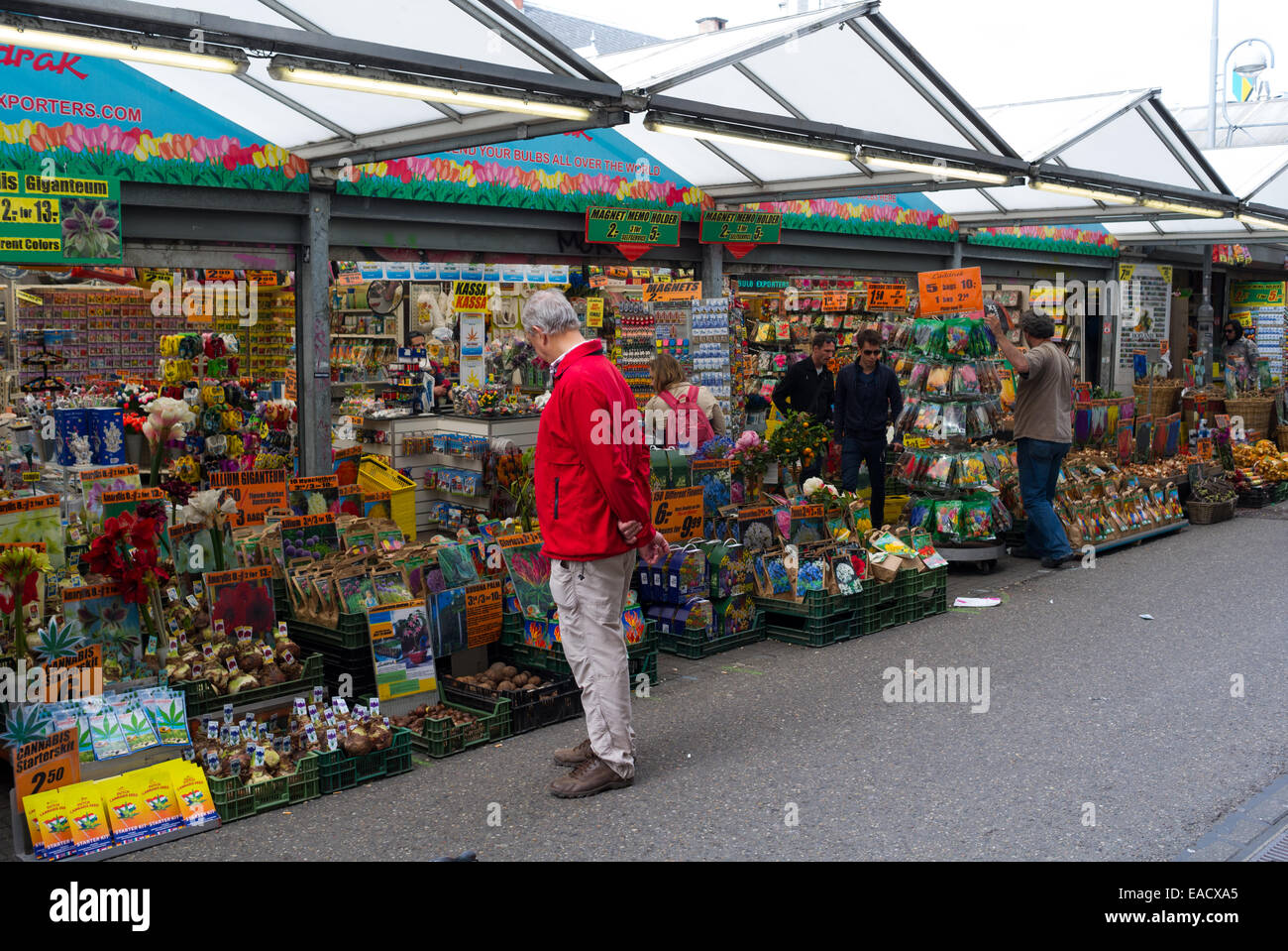 Flowwe hi-res stock photography and images - Alamy