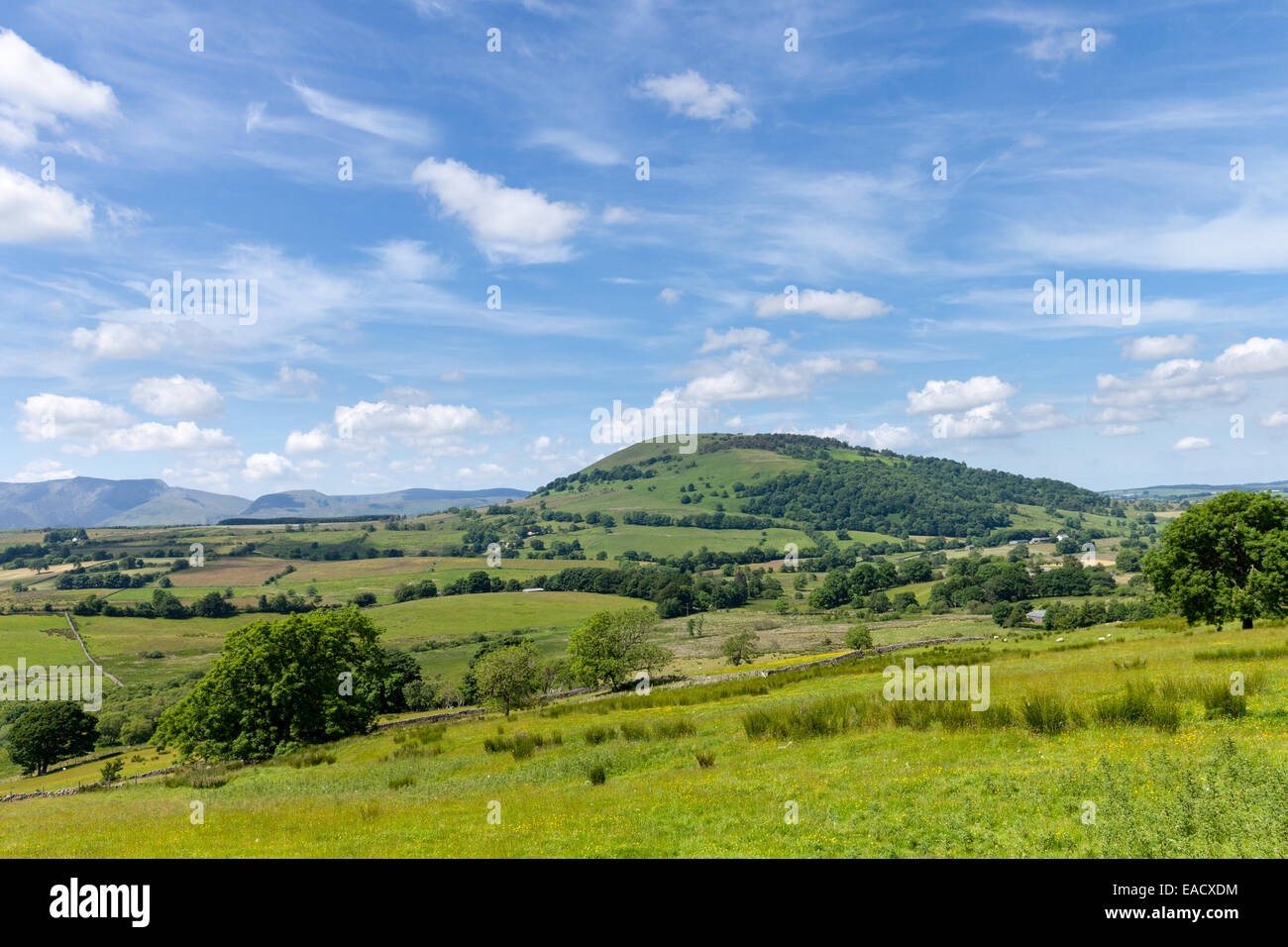 Great Mell Fell in Dacre Beck catchment, Cumbria, England Stock Photo ...