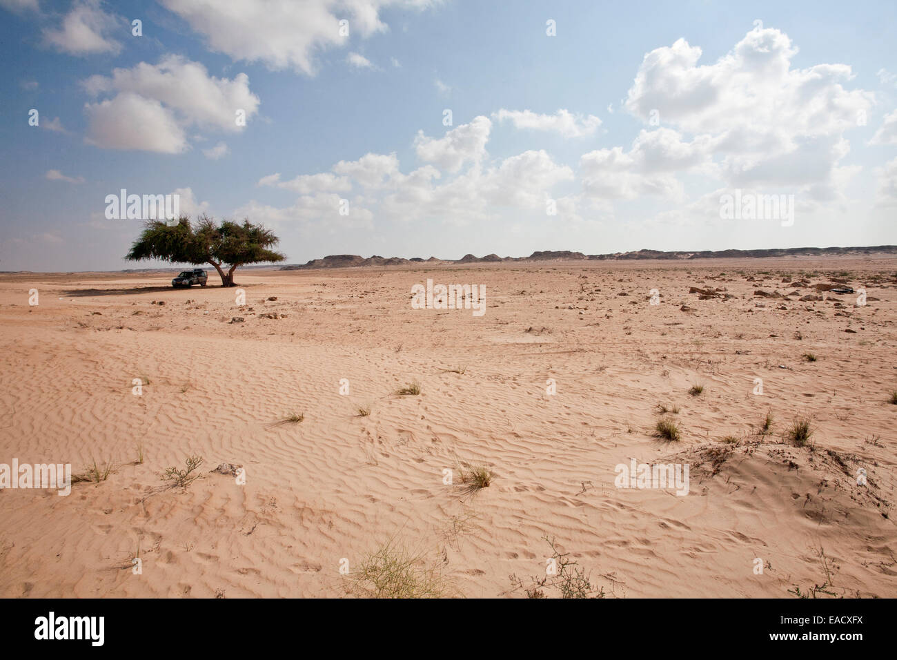 Desert landscape, Oman Stock Photo - Alamy