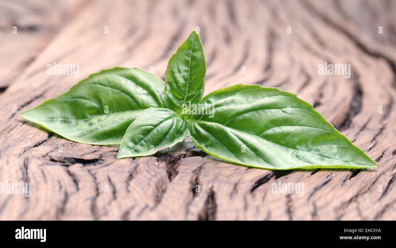 Old herb hi-res stock photography and images - Alamy