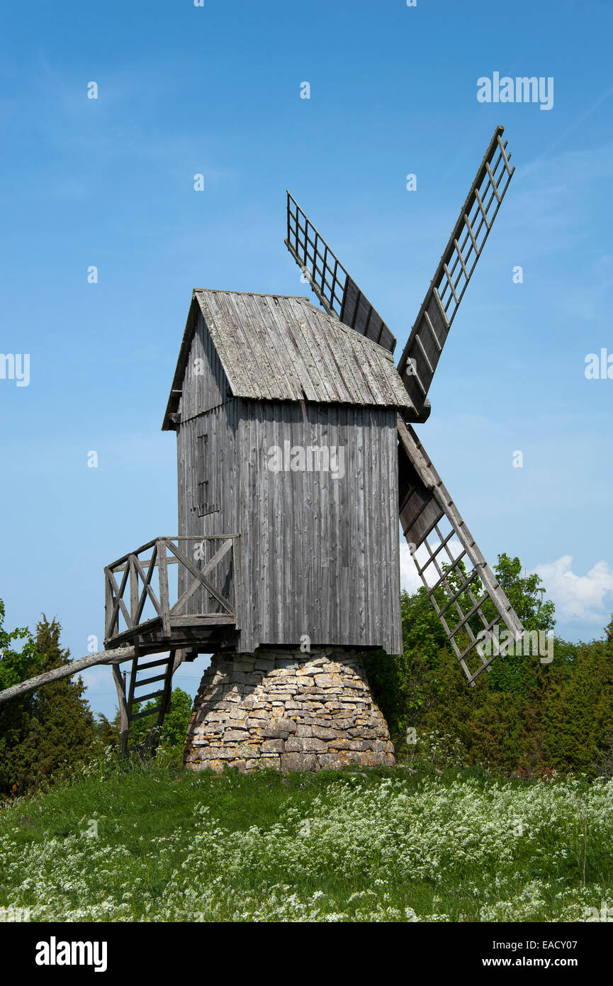 Muhu hi-res stock photography and images - Alamy