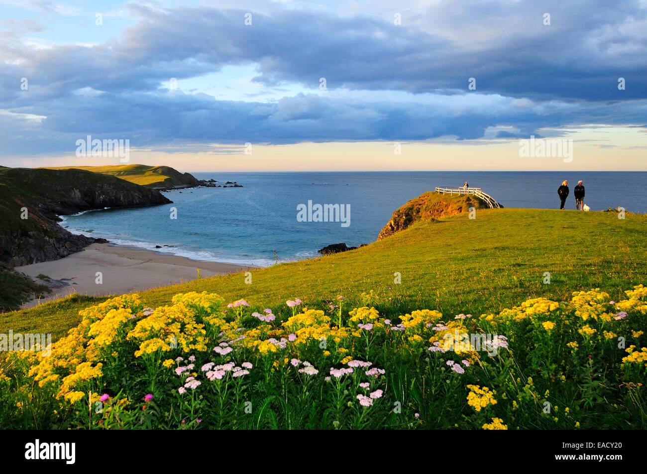 Meadow near the viewpoint overlooking the beach of Sango Bay, Durness ...