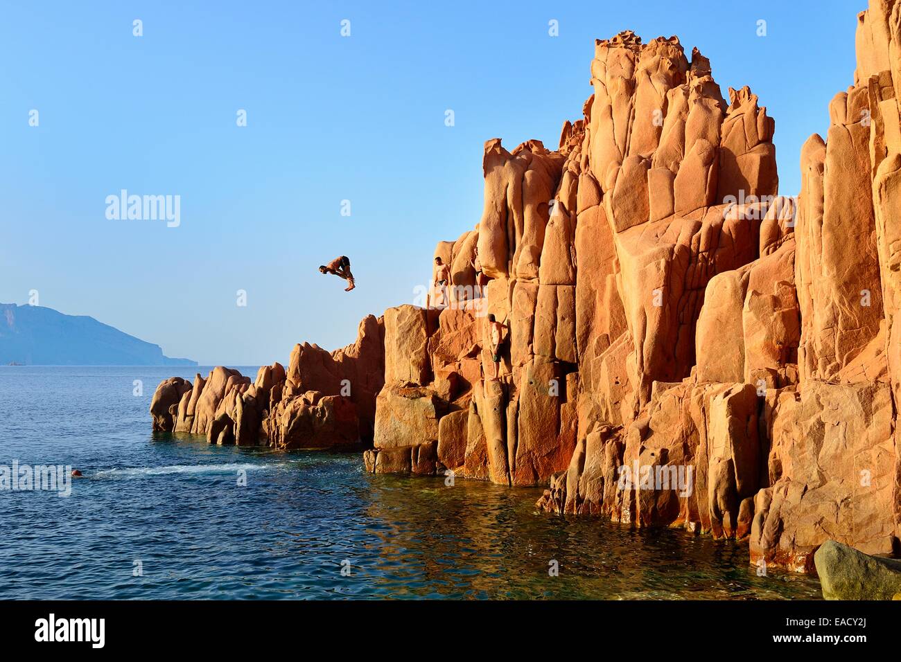 Klipspringer of the red rocks of Arbatax, porphyry rocks, Tortoli ...