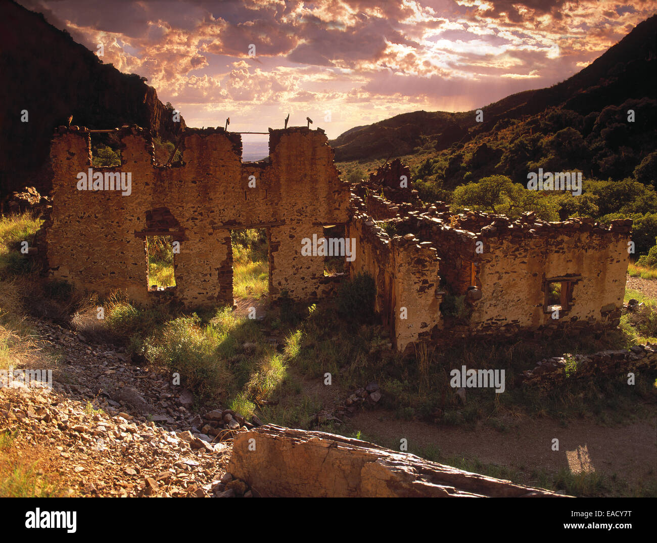 Dripping springs resort hi-res stock photography and images - Alamy