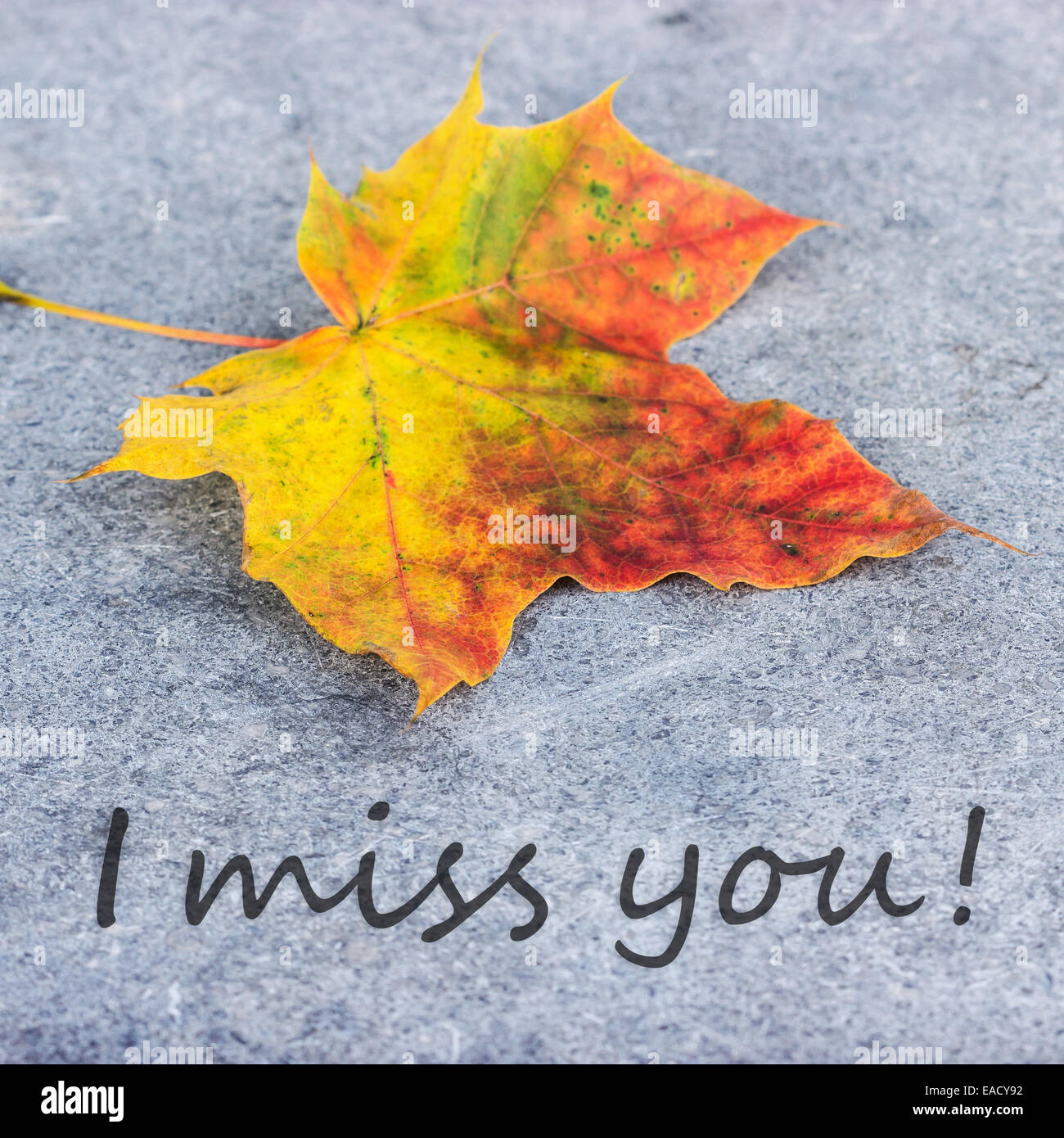 Mourning card hi-res stock photography and images - Alamy