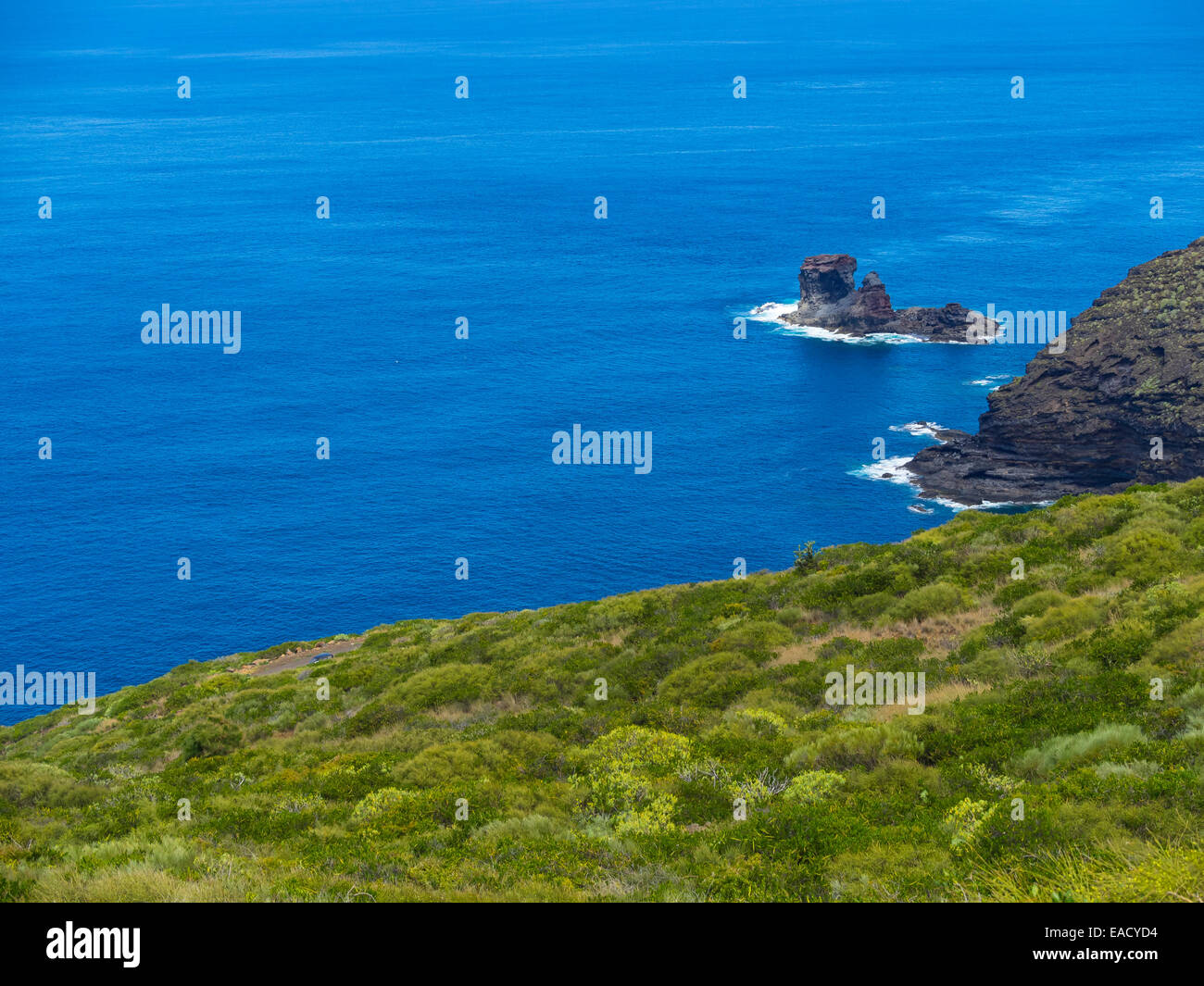 Cliffs, near Garafia, Punta del Puerto Viejo, La Palma, Canary Islands ...
