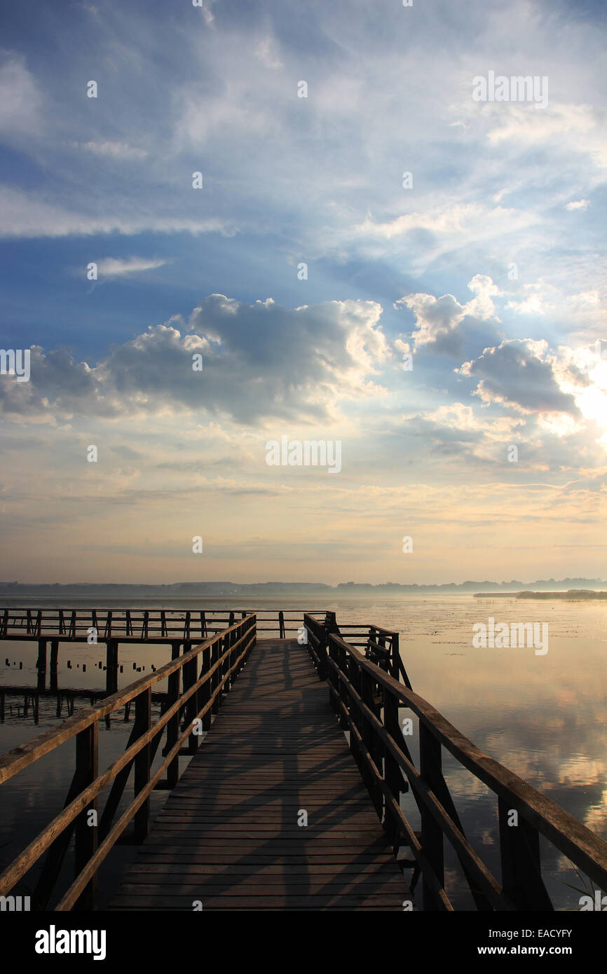 Lake, boardwalk, Federsee lake, near Bad Buchau, Baden-Württemberg ...