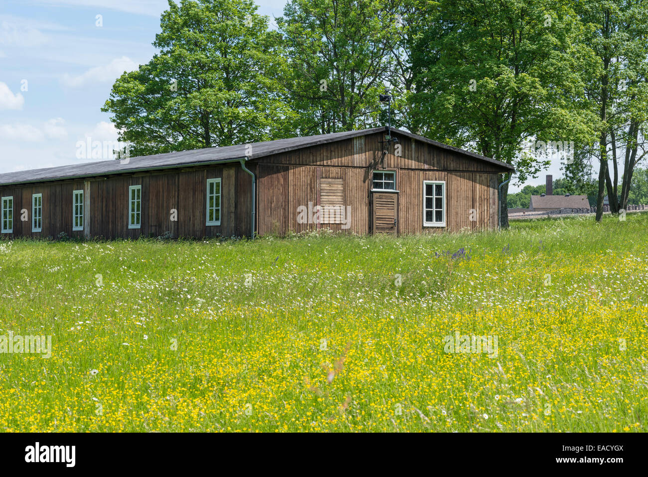 Wooden barracks, former hospital ward, Buchenwald concentration camp ...