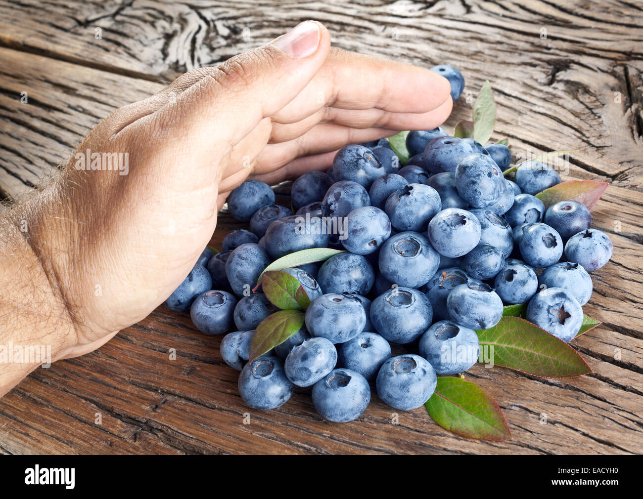 Blueberries on green table hi-res stock photography and images - Alamy
